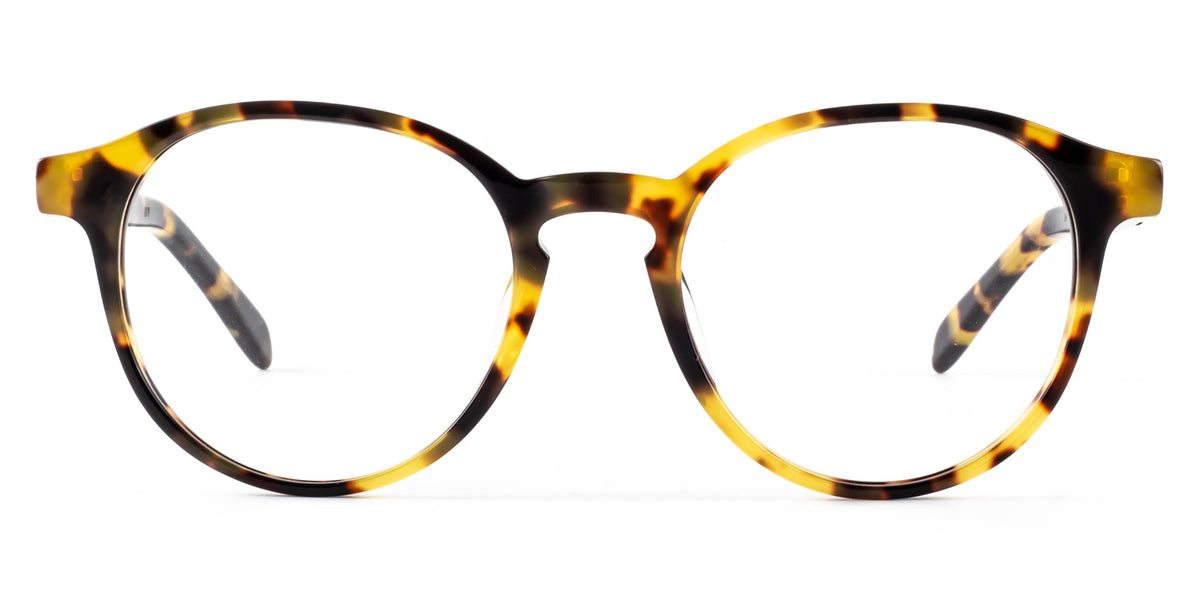 Sutro Optical 04